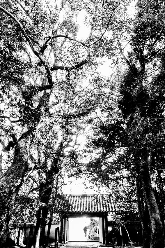 [Kozan-Ji, Yamaguchi] Gate At The Entrance Of Kozan-Ji | Photo by awazo.com