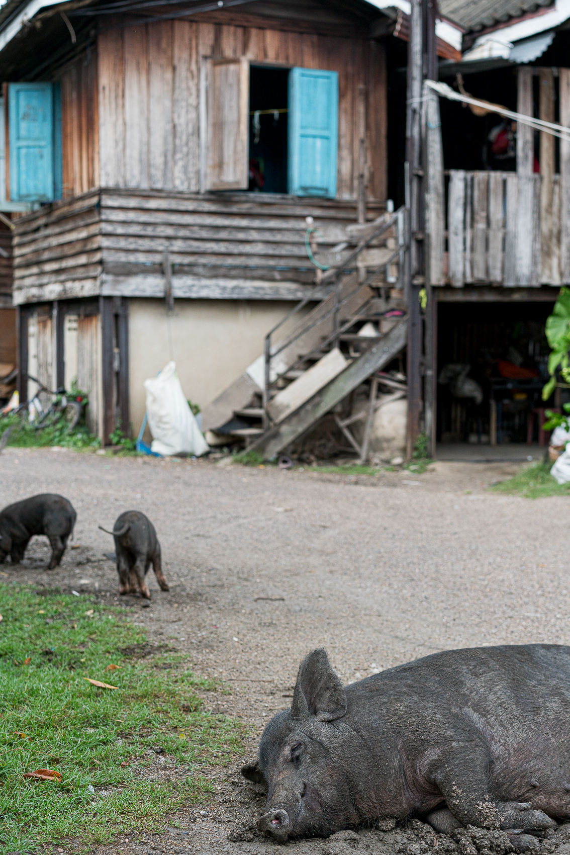 [Ban Laem, Thailand] The Mae Klong Line Connecting Mae Klong And ...