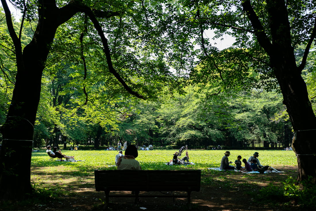[Tokyo] Komaba Park's Lawn Is A Great Place To Relax | Stroll, Photo ...