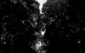 Sunny Spot In The Dim Passage (Taiwan) | BOXMAN fotologue